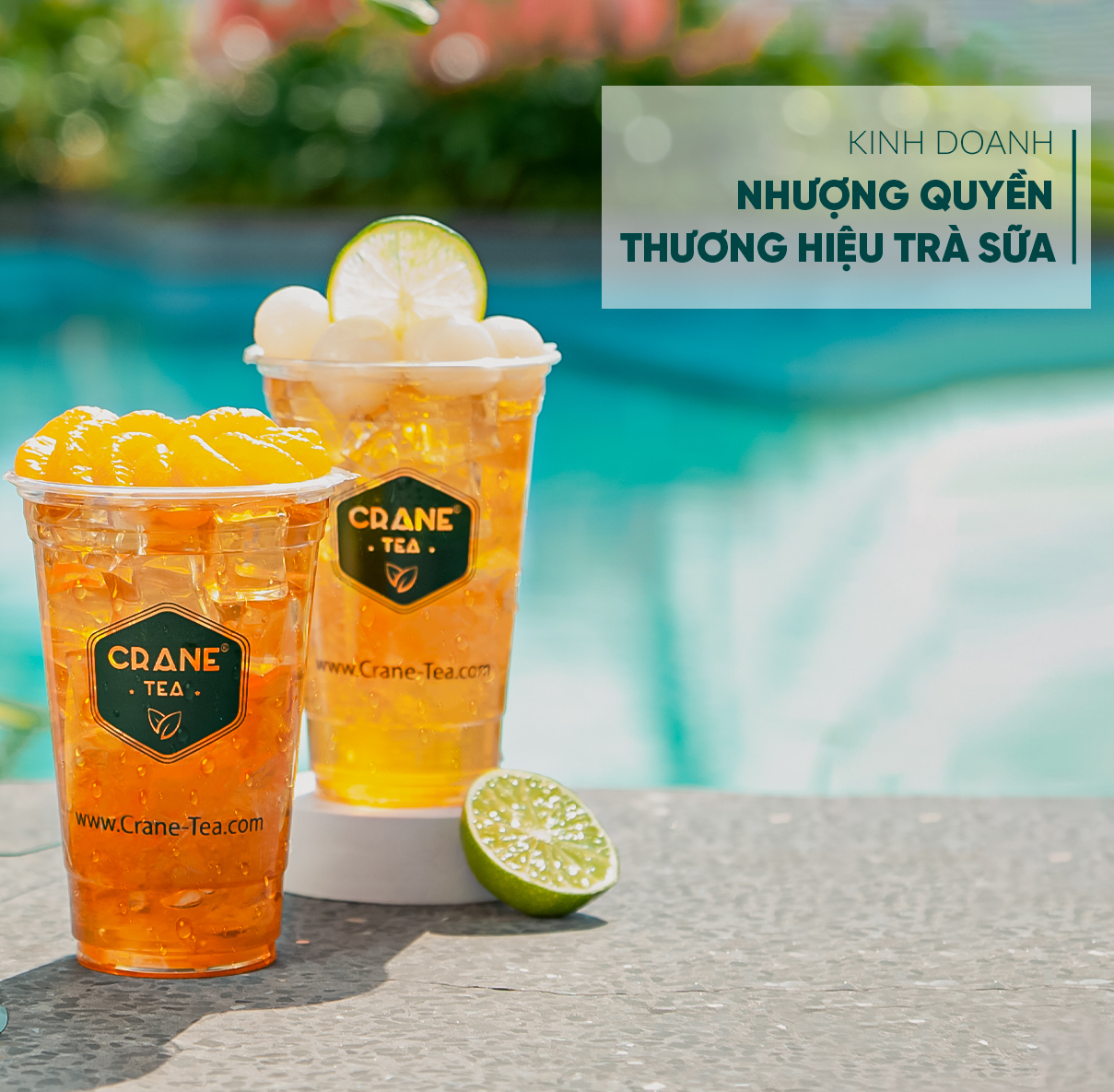 Khởi Nghiệp Cùng Nhượng Quyền Thương Hiệu Trà Sữa Crane Tea - Crane Tea